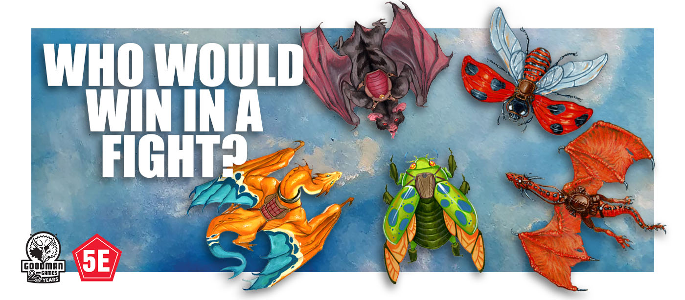 Dragon Rider's Primer: Aerial Adventures, Characters & More! Project ...