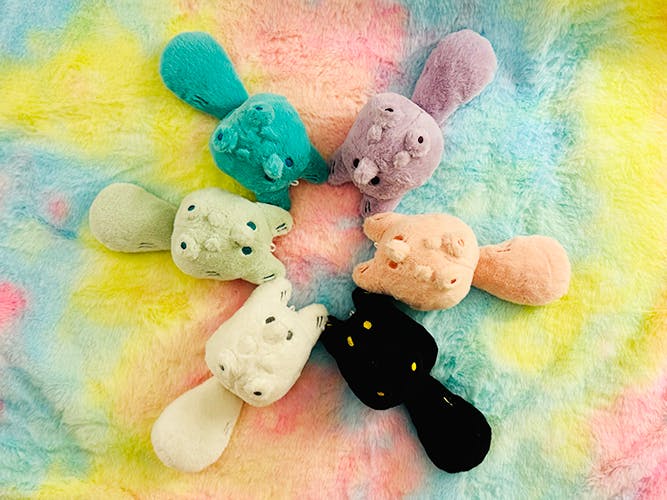 Anxiety Fox Pocket Friends Plush Toys! Project Update: Launching soon ...