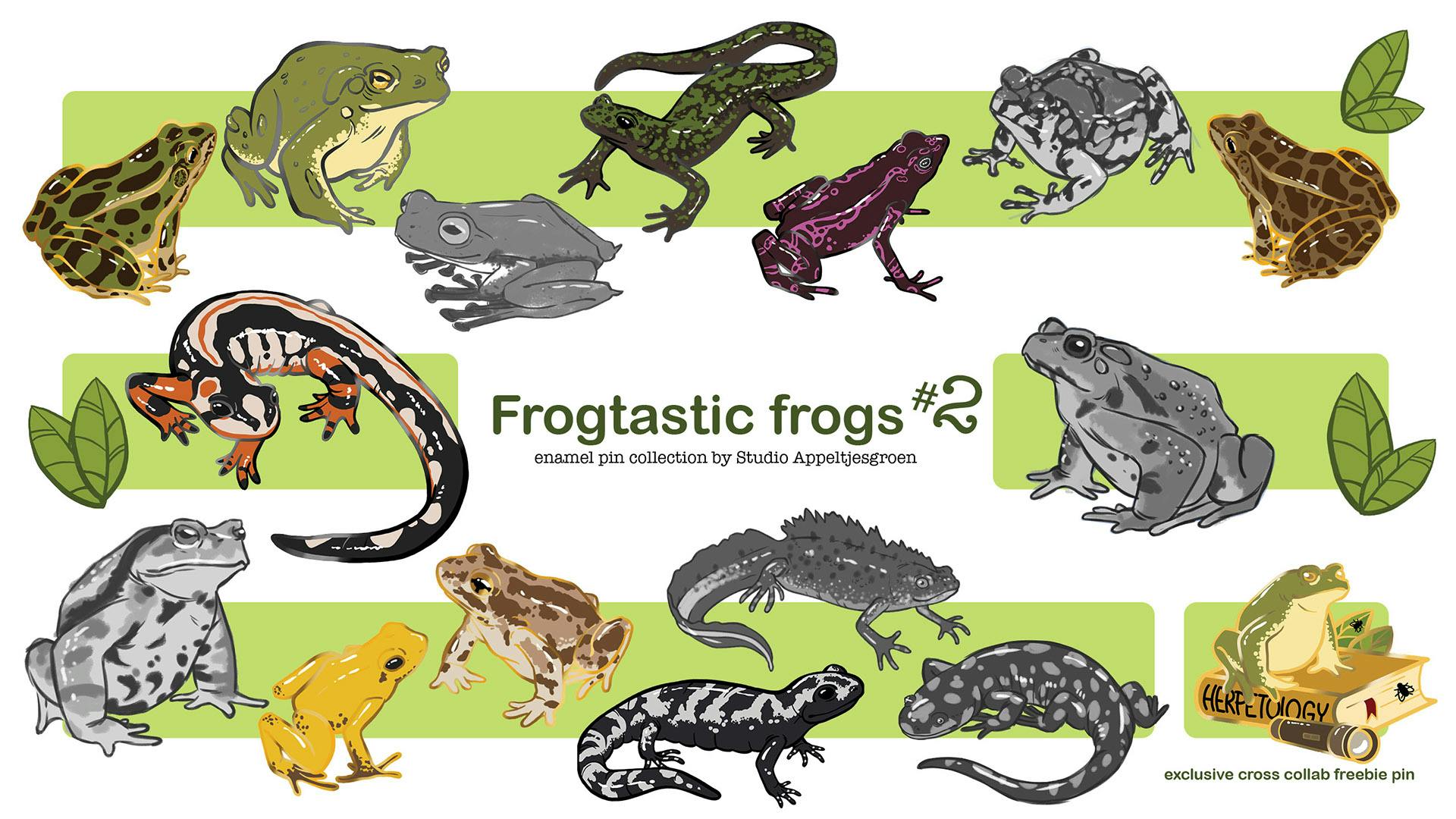 Project Update: Exclusive socks and extra freebie on Frogtastic Frogs ...