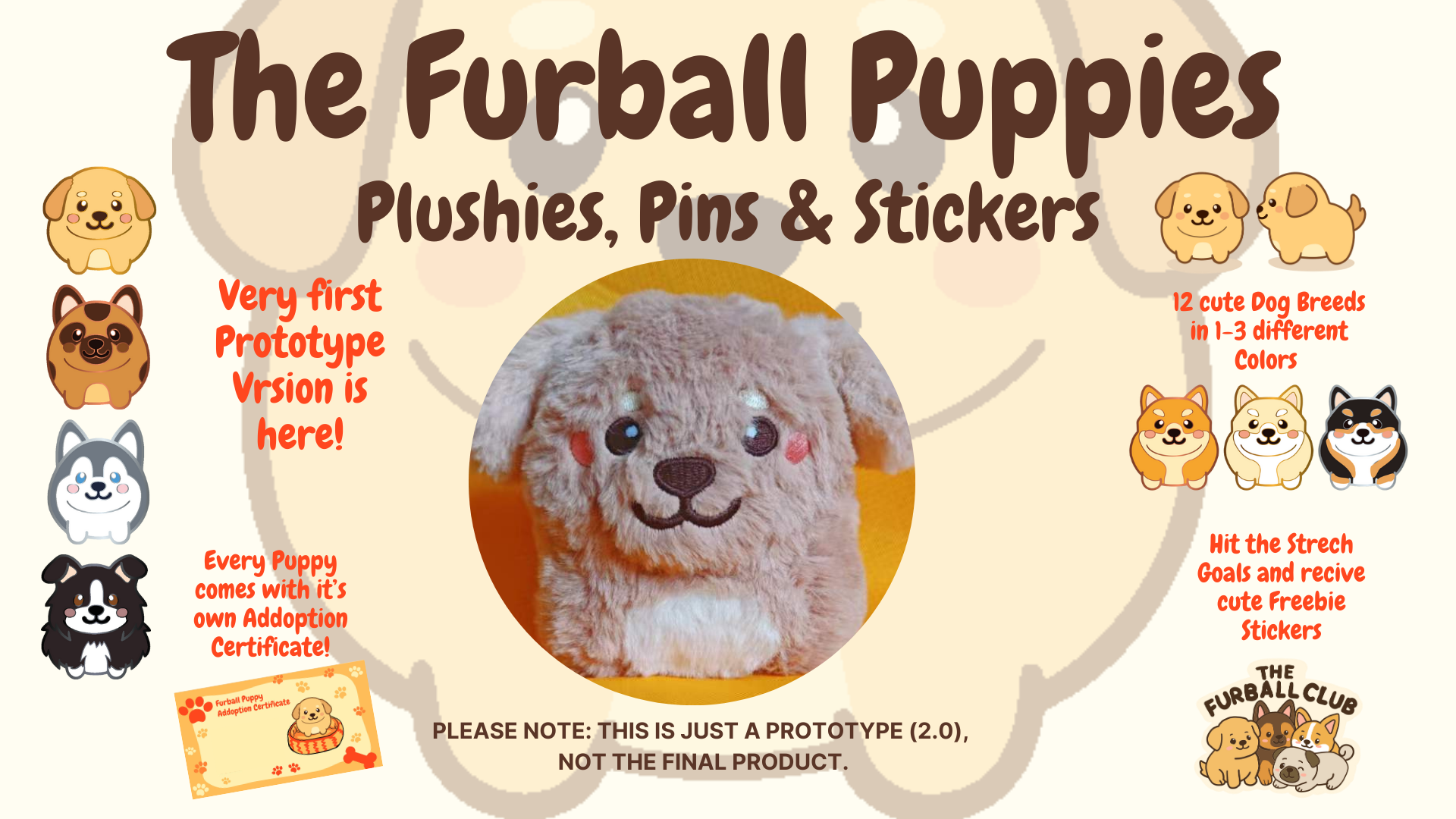 Love and Support! on The Furball Puppies - BackerKit