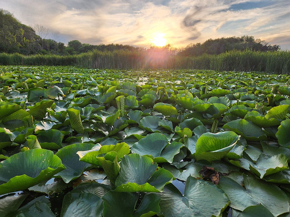 Structuring Life to Support Creativity Project Update: Editing and Layout - BackerKit