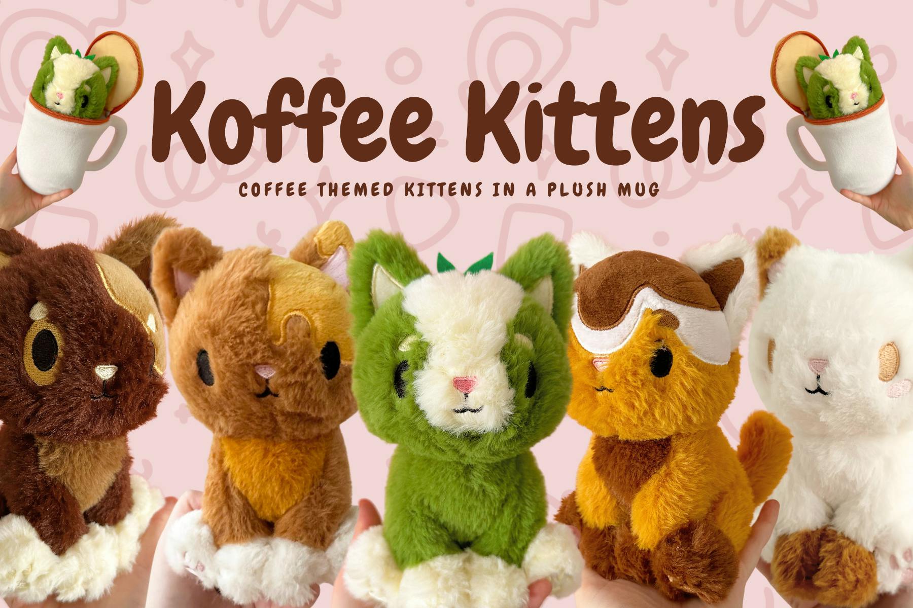 kittens coffee everett