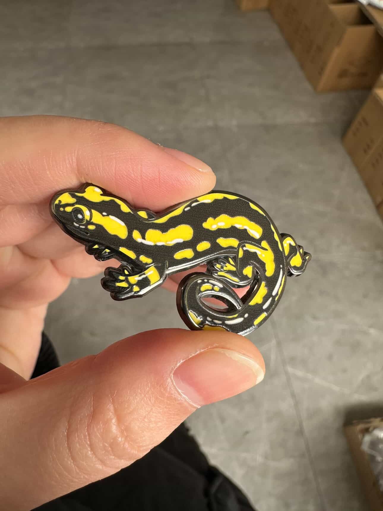 Frogtastic Poison Dart Frogs & Salamanders Project Update: #8 | Update ...