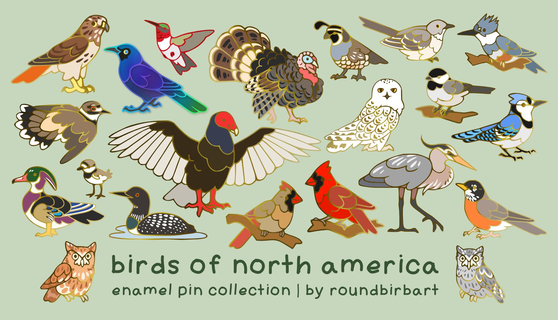 Birds of North America - BackerKit