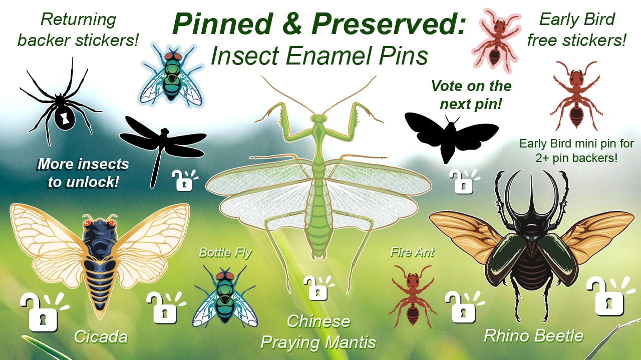 Community Achievement: Reach $11,500 to unlock the Orchid Mantis pin! 🌸 ...