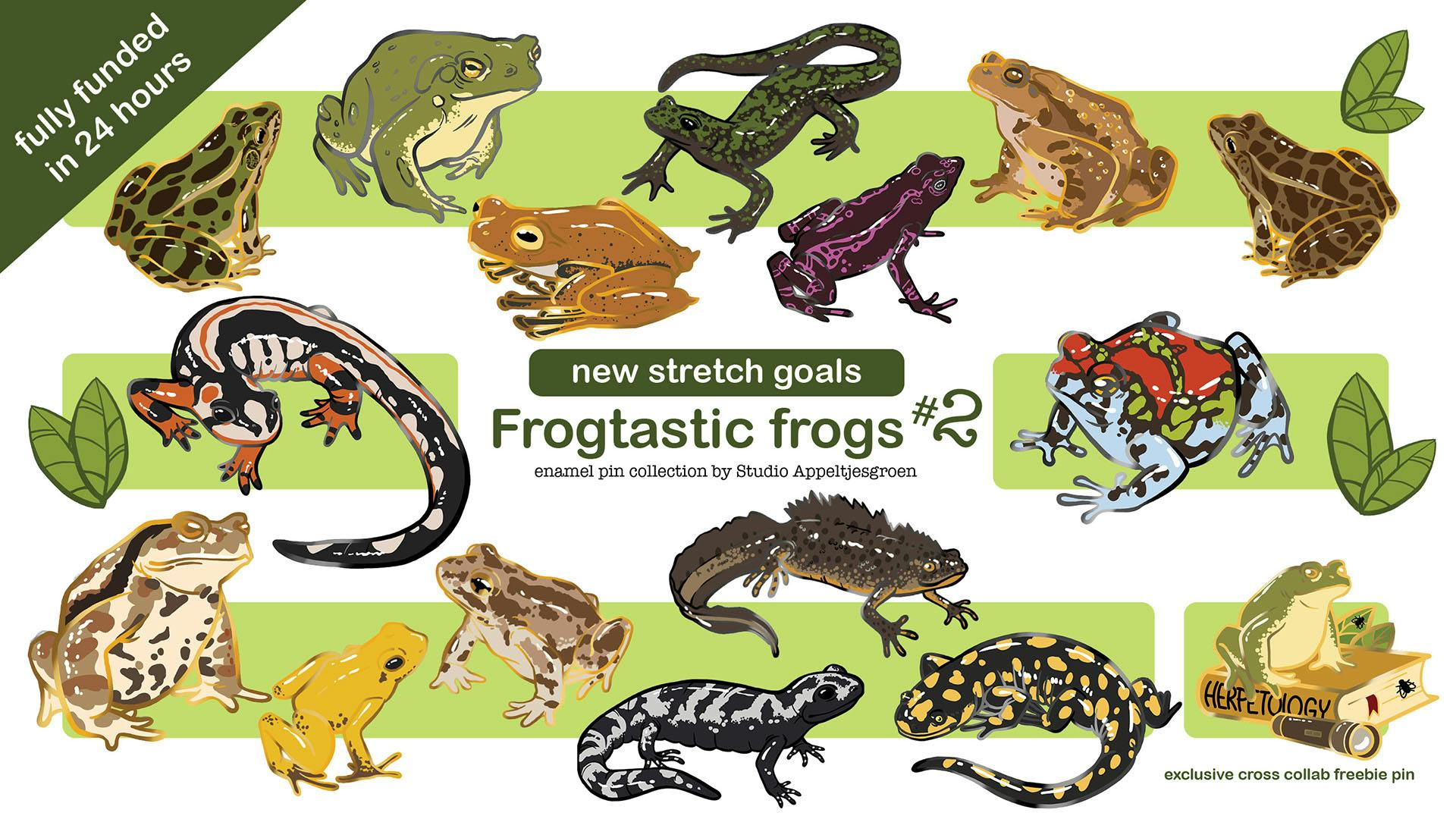 Frogtastic Frogs #2 - BackerKit