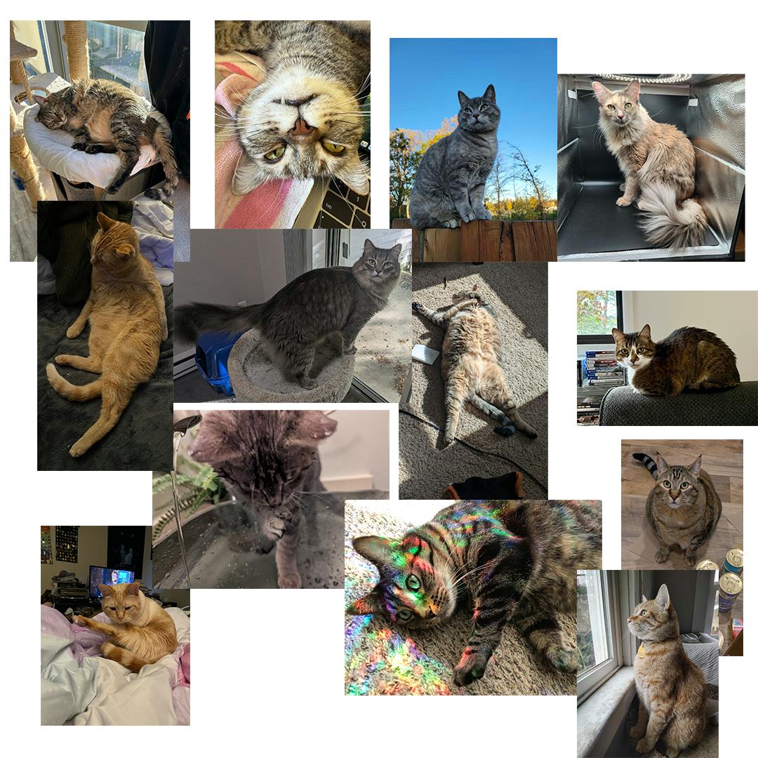 Pathfinder Quest Project Update: 24 Hours Remaining! New Stretch Goals ...